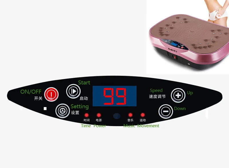 Ultimate Oscillating Platform Back Machine For Slimming, Fat Burning ...