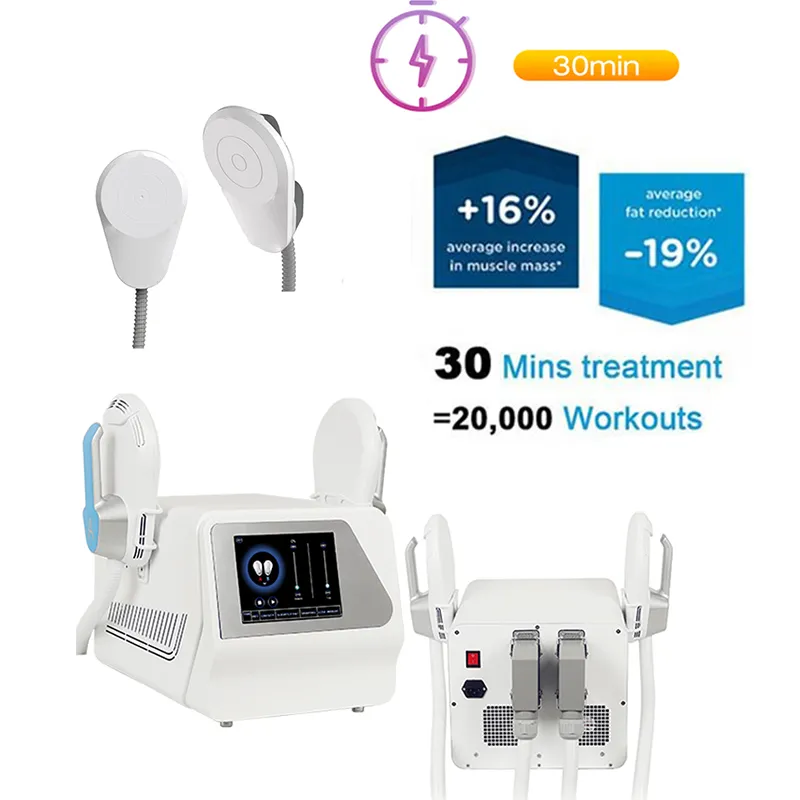 2022 Fat Reducing Machine 2 Handles Weight Loss Machine High Intensity ...