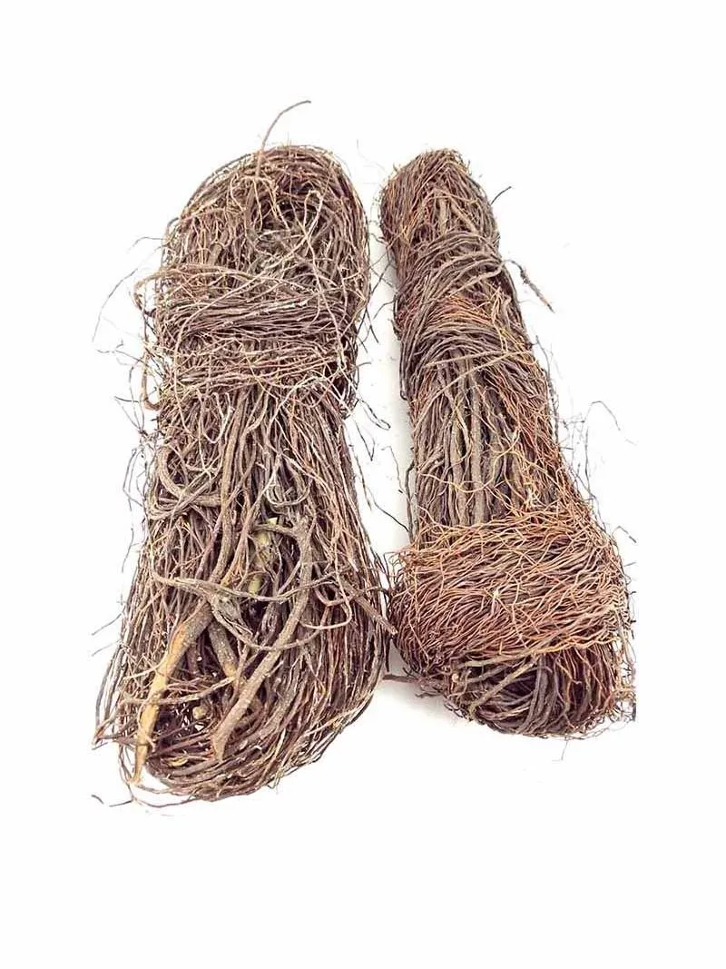 Nature Aquarium Tree Root Decoration: Banyan Vine Ornament for Fish ...