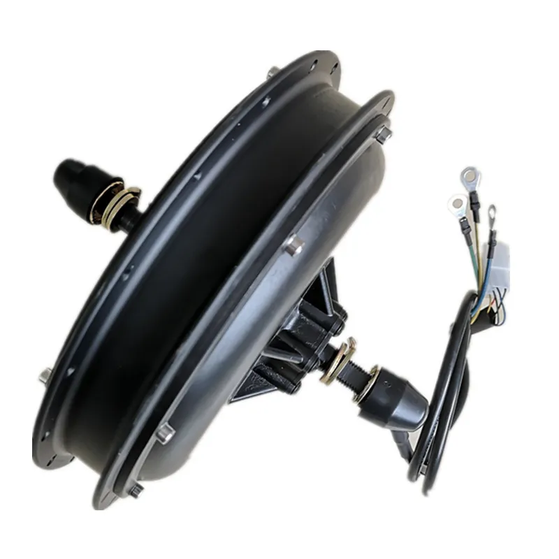 Brushless 48V 1000W DC Hub Motor Spoke Motor for Rear Wheel E-bike ...
