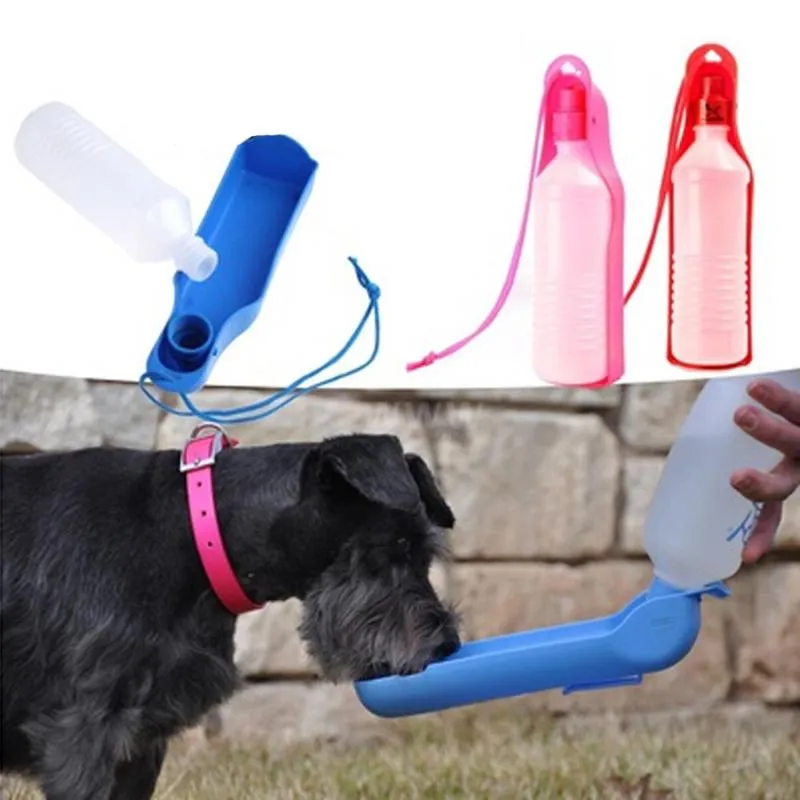 Portable Pet Water Bottle - 250ml Travel Hydration for Dogs & Humans ...
