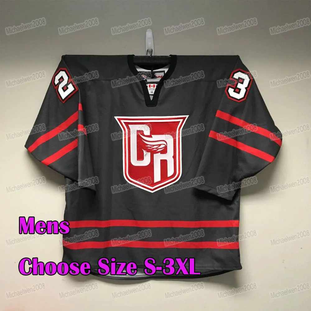 Custom Grand Rapids Griffins AHL Hockey Jersey Taro Hirose Kyle ...