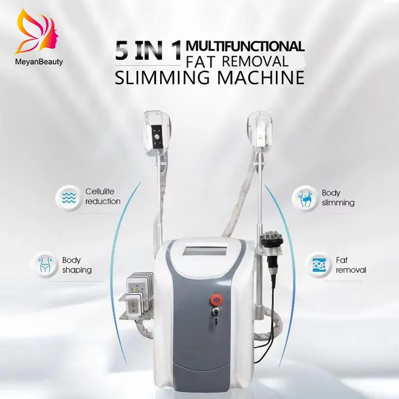 Dual Cryo Head Fat Freezing Machine: Body Slimming, Weight Reduction ...