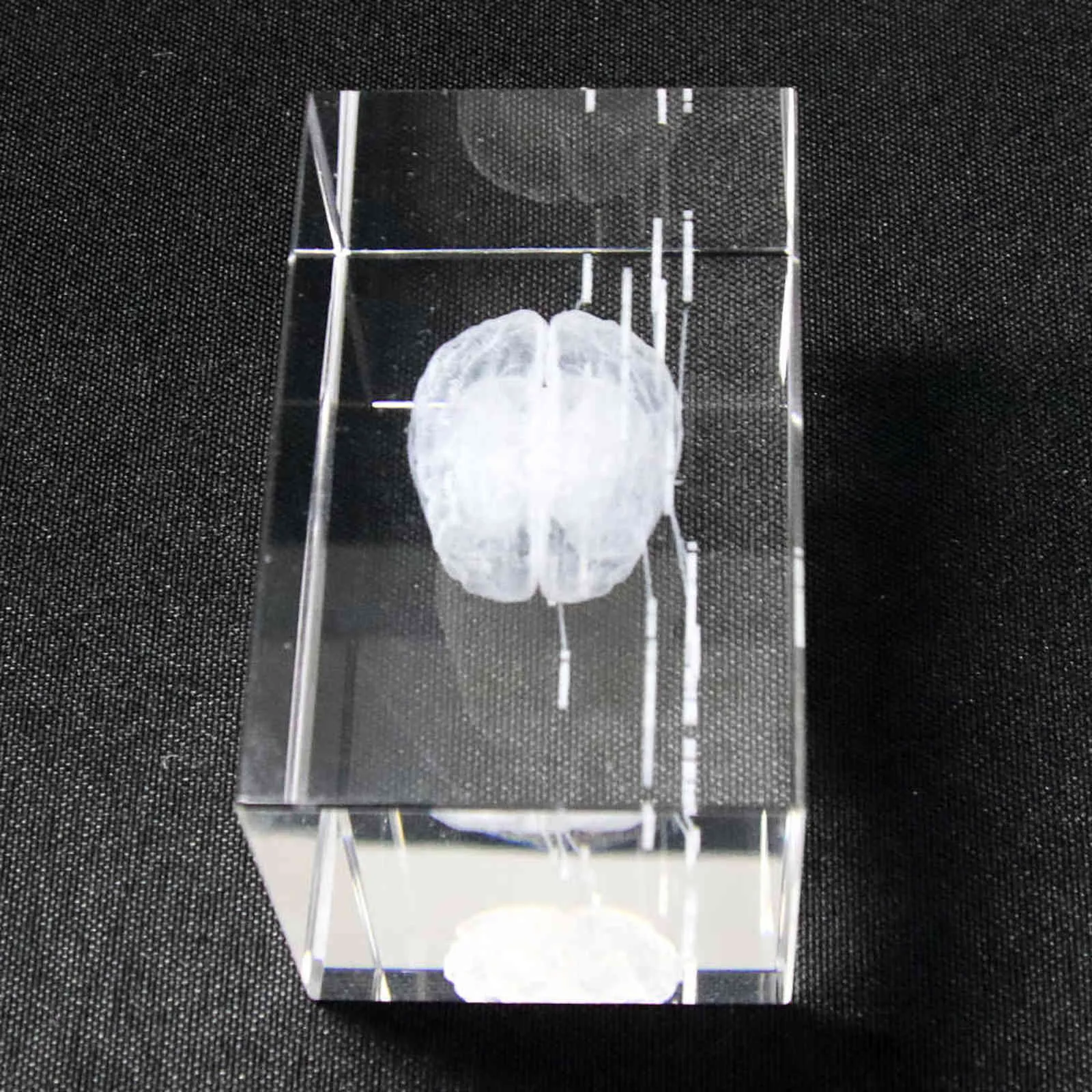 Laser Etched 3D Brain Crystal Glass Paperweight Educational Anatomy ...