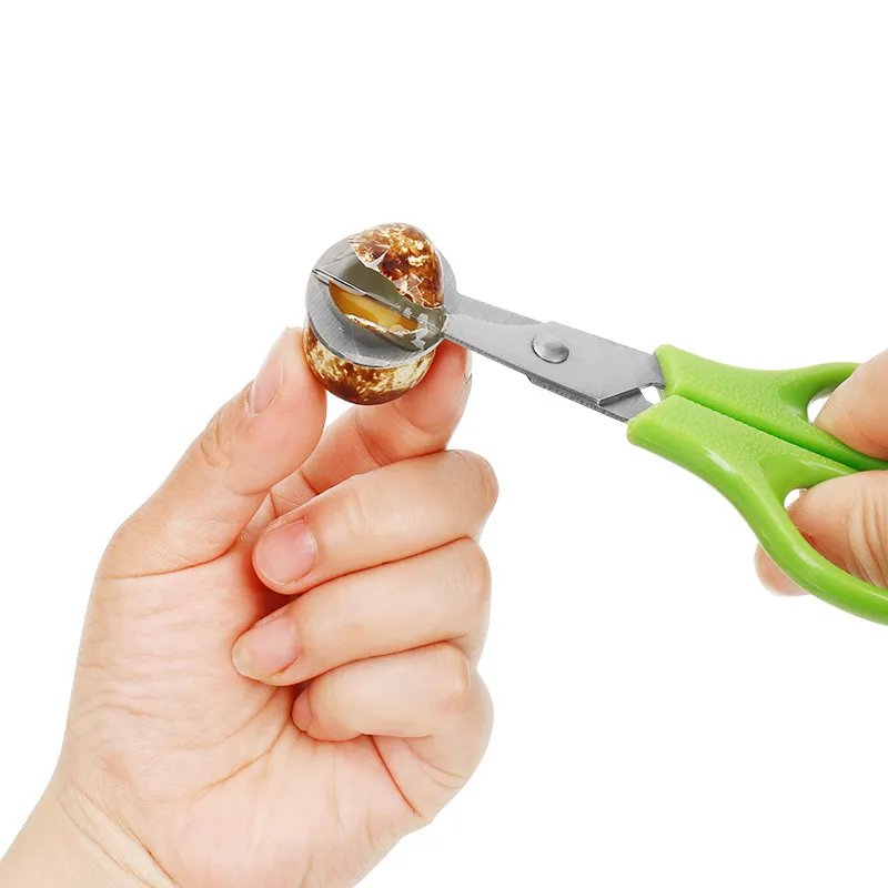 Egg Shell Opener Tool Stainless Steel Quail Egg Scissors Cutter For ...