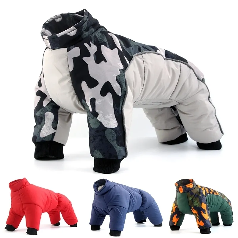 Waterproof Winter Dog Coat: Warm Clothes for Small Dogs & Medium Breeds ...