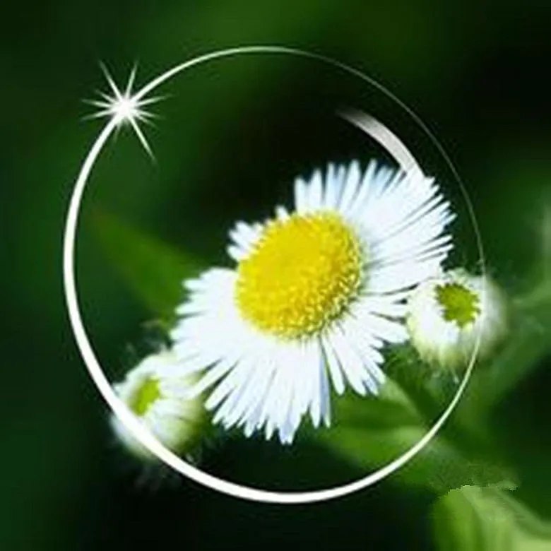 Simplistic and Sophisticated: Clear Prescription Glasses for a Timeless ...