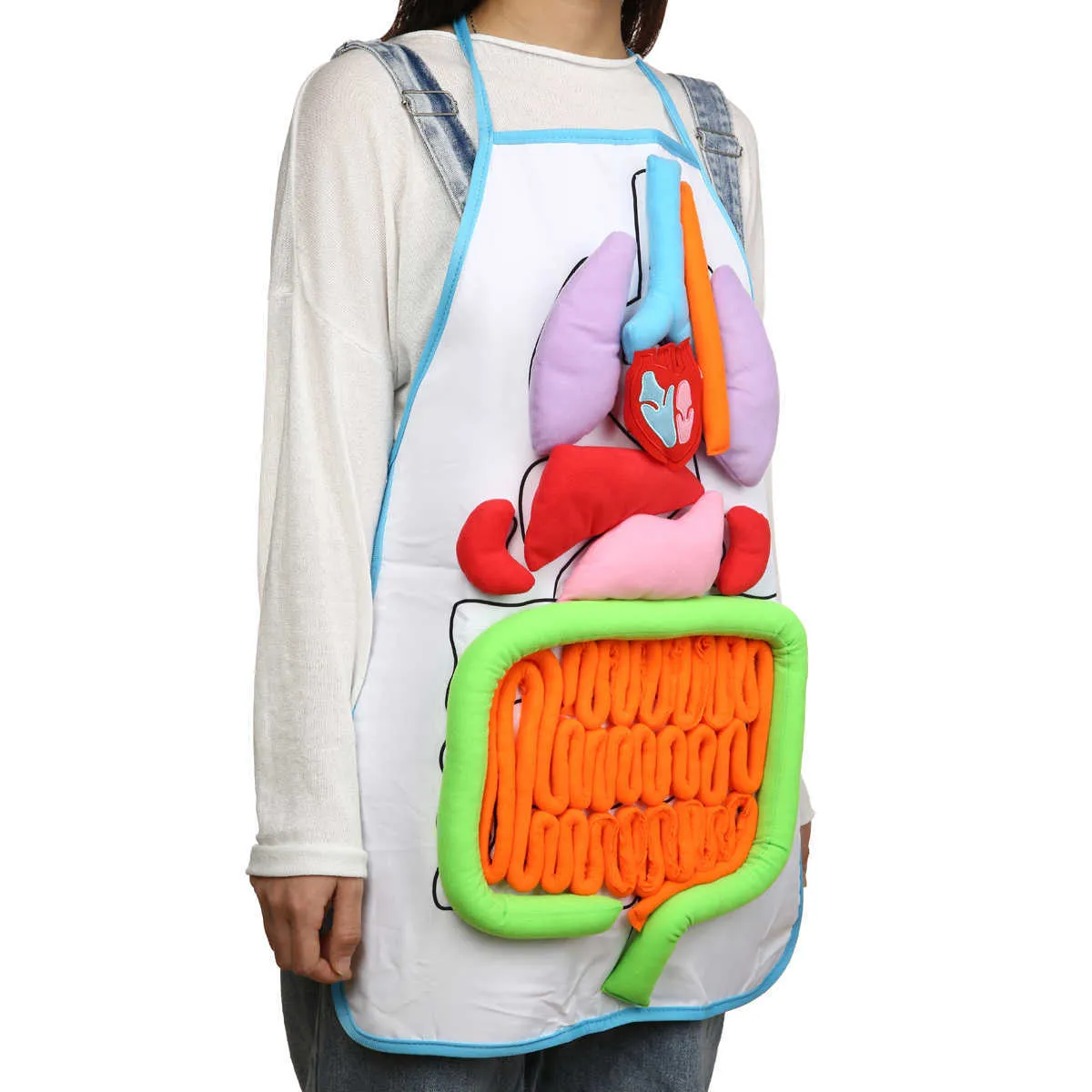 Educational Human Body Organs Apron For Kids Preschool Anatomy Teaching ...