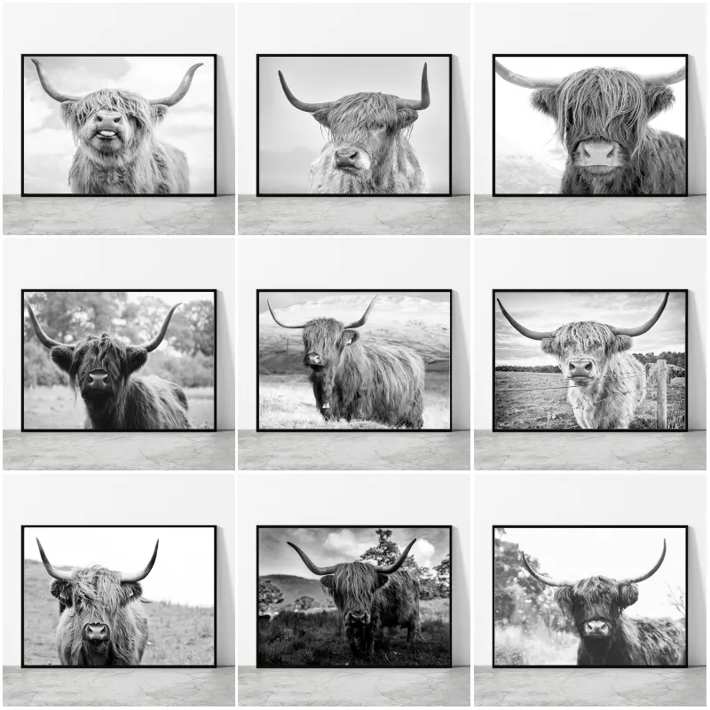 Black and White Highland Cow Canvas Painting Print 20x25 in Rectangle ...