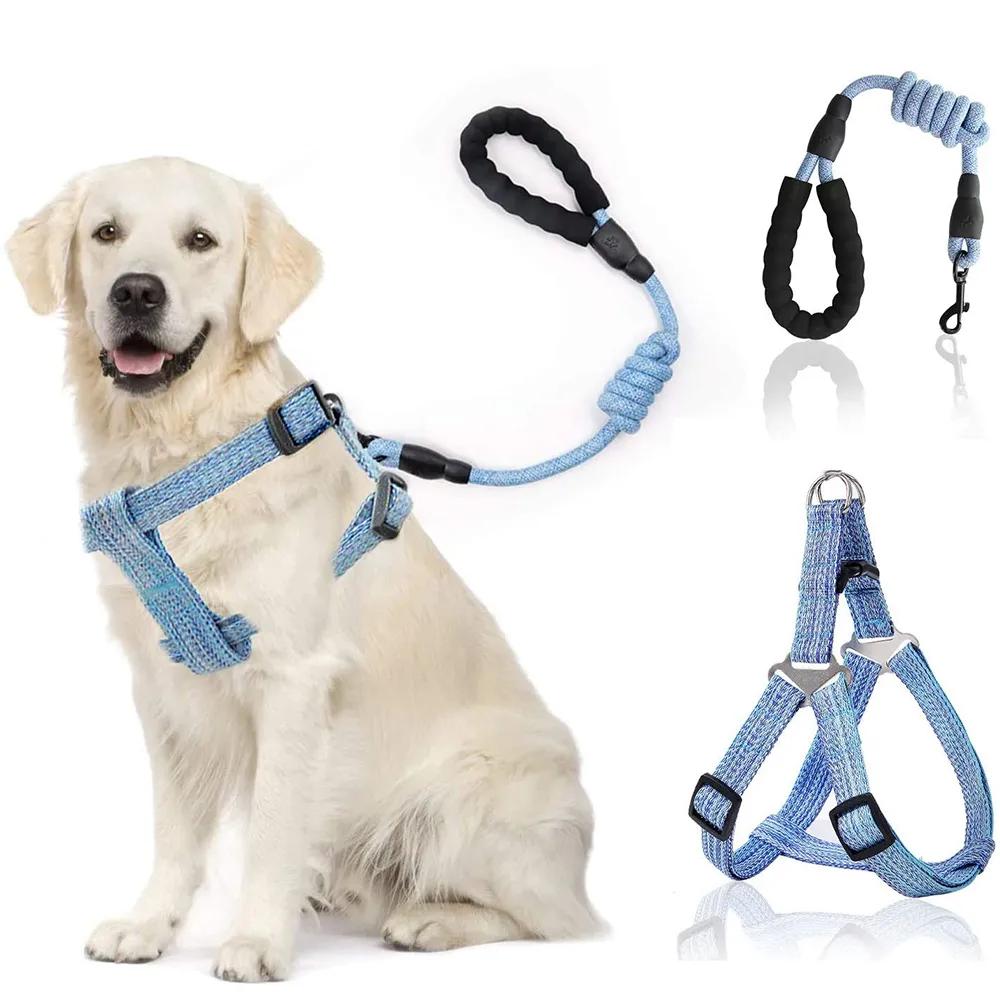 Heavy Duty Denim Dog Collar Leash Harness Set - Perfect for Daily ...