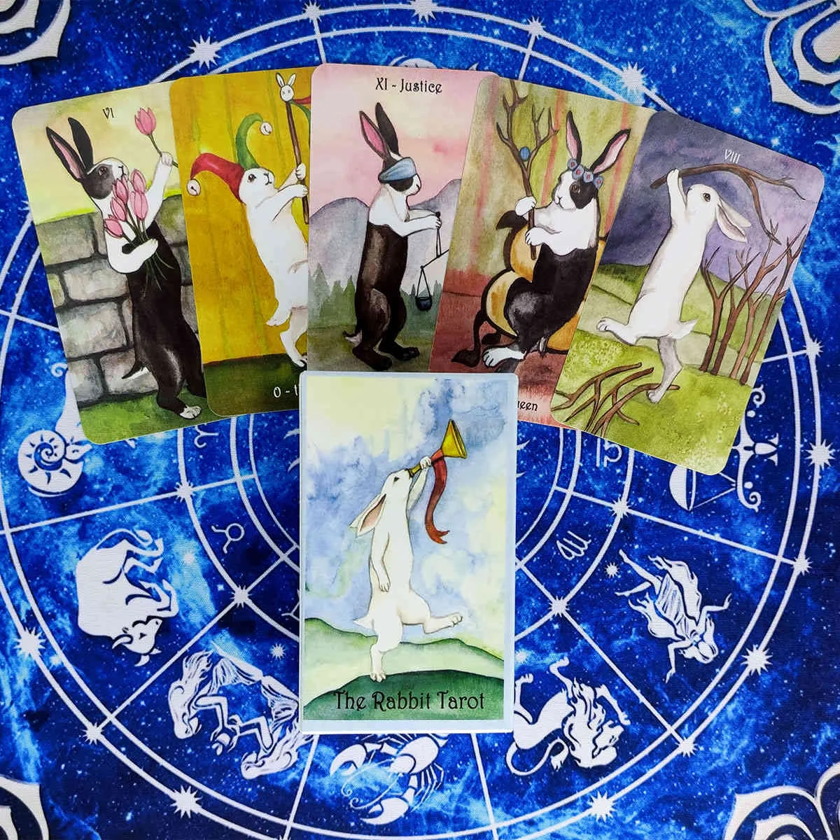 Rabbit Tarot Cards /Box For Guidance, Divination, Entertainment ...