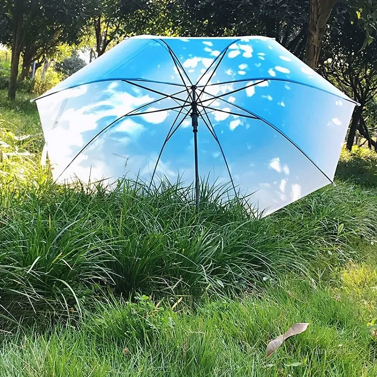 Hot Pink Stanley Gradient Umbrella with Handle on Top: Transparent ...