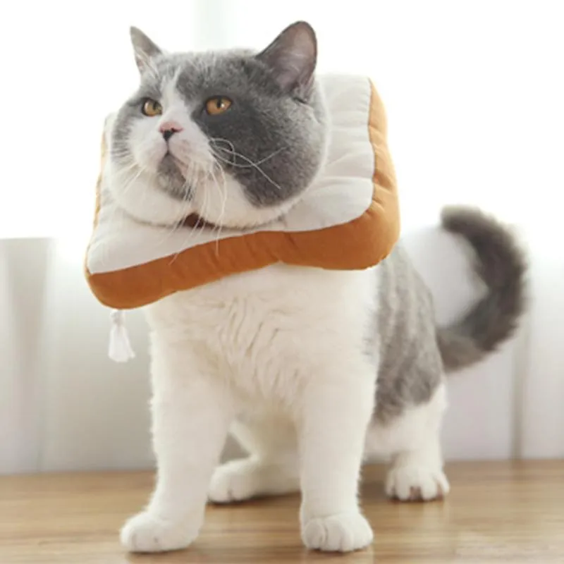 DHgate.com:Bread Shape Pet Protective Collars: Adjustable Dog Cone for ...