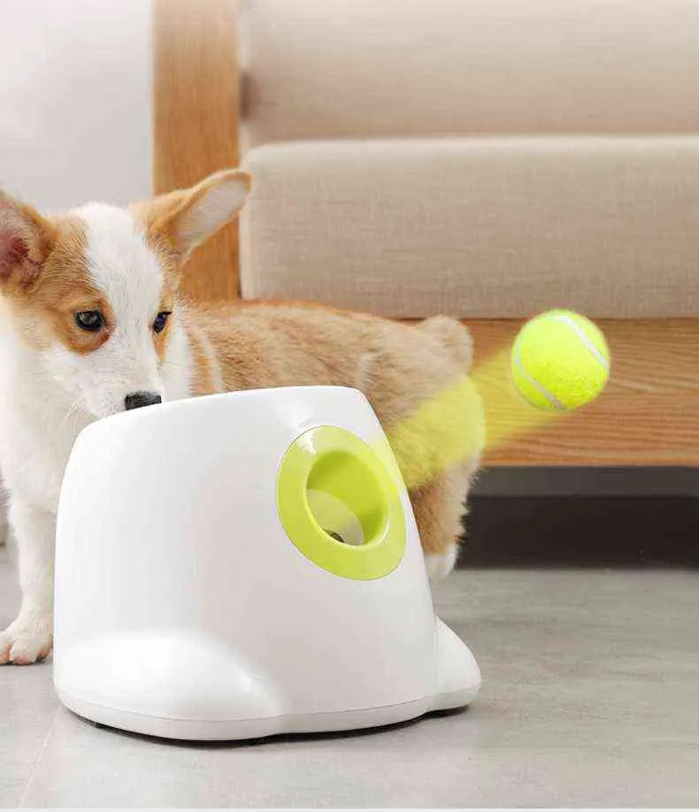 Catapult For Dogs Automatic Ball Launcher Tennis... From Mengyang09 ...