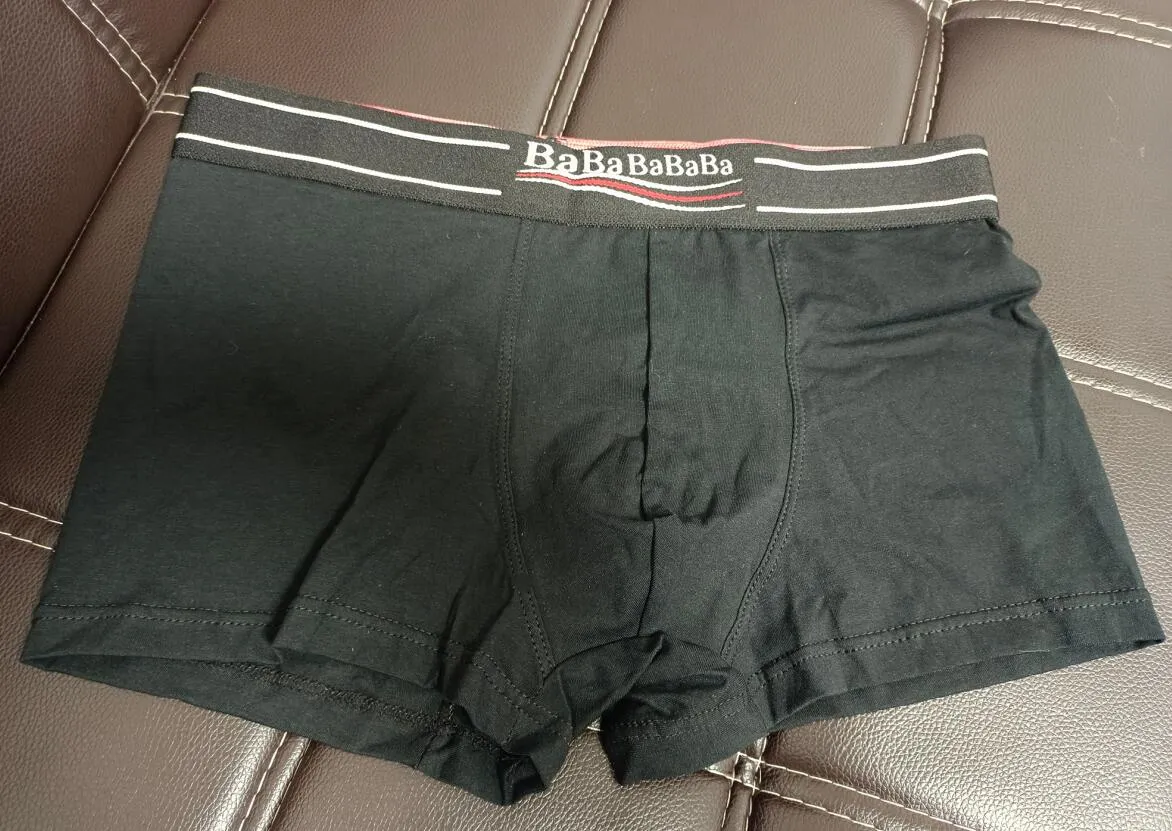Qué Tamaño Tienen Los Mini Boxers
