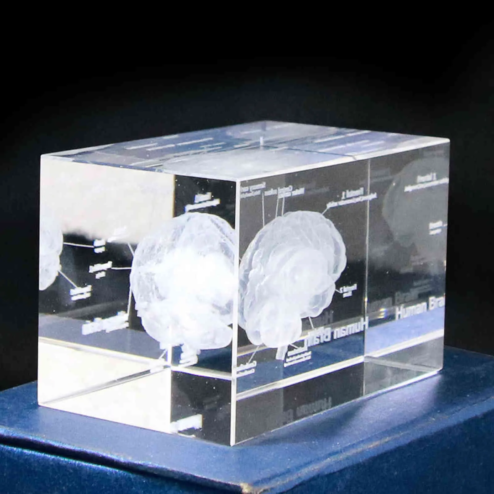 3D Human Brain Crystal Glass Cube Laser Etched Neurology Anatomy ...
