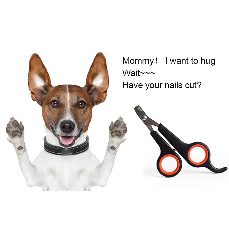 Pet Nail Clippers for Dogs & Cats - Safe Stainless Steel Claw Trimmer ...