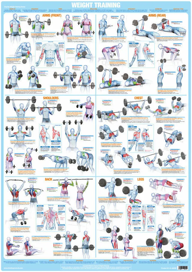 Chest Workout Chart Hd Images | EOUA Blog