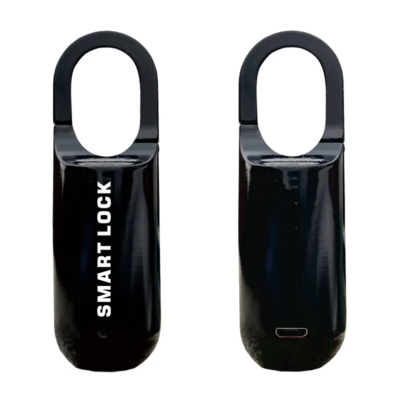 Mini Fingerprint Padlock - USB Rechargeable Keyless Door Lock for ...