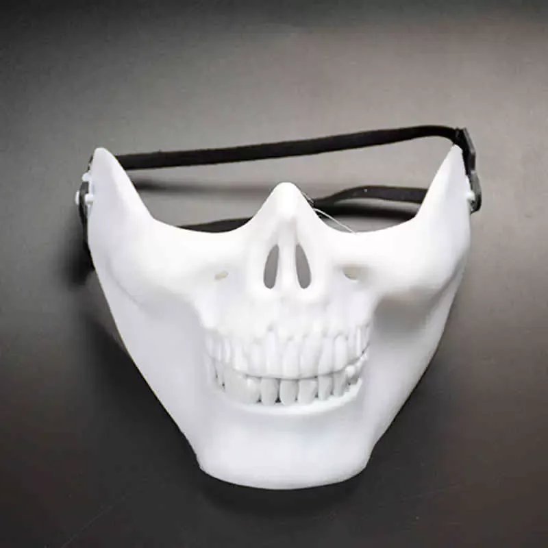 Winter Skull Face Mask: Halloween Carnival Paintball Lower Half Face ...