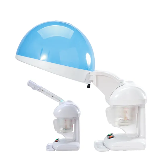 2-in-1 Facial & Hair Steamer: Professional Micro Mist Ion Sprayer for ...