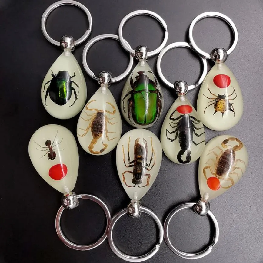 Toy Bugs And Insects Encased Resin Keychain Educational Science ...