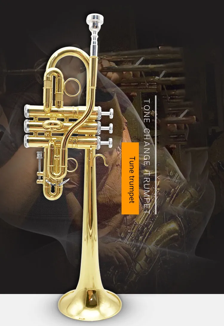 Beginner E Flat Trumpet - D Tune Brass Instrument for Adults & Kids w ...