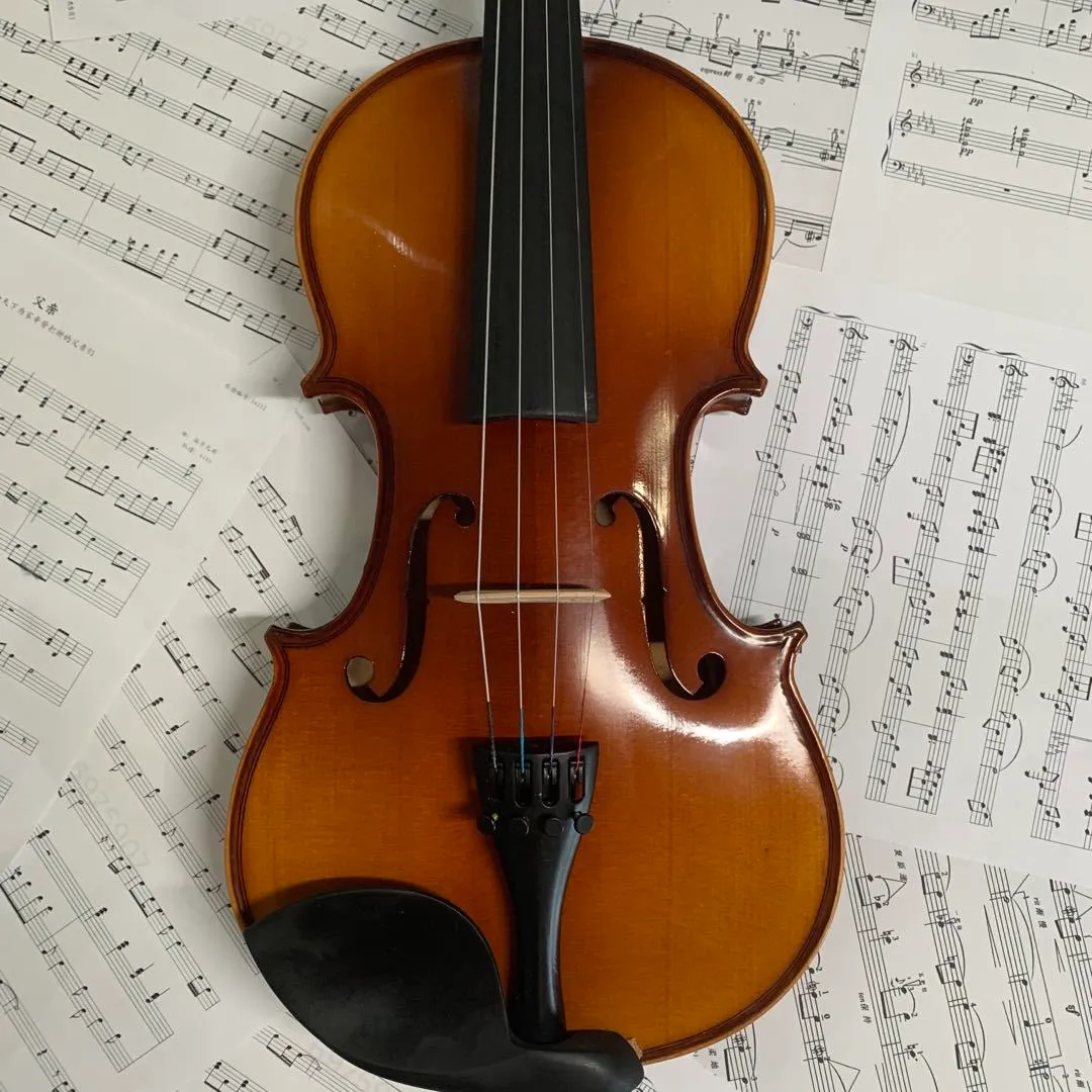 Professional Solid Wood Matte Franz Sandner Violin For Beginners And ...