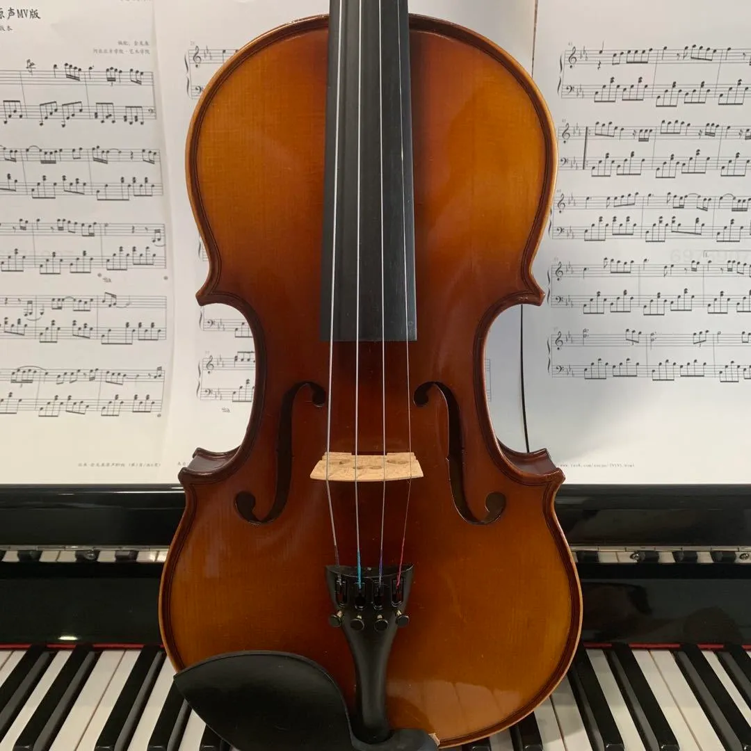Professional Solid Wood Matte Franz Sandner Violin For Beginners And ...