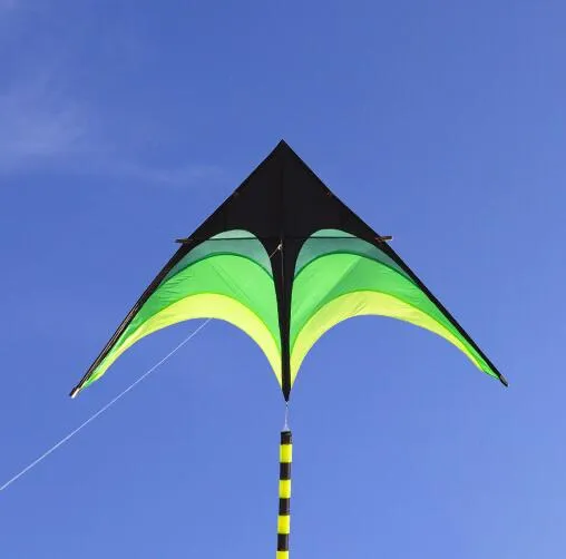 Large Delta Kite with Tail & Handle - High Quality Ripstop Nylon Kite ...