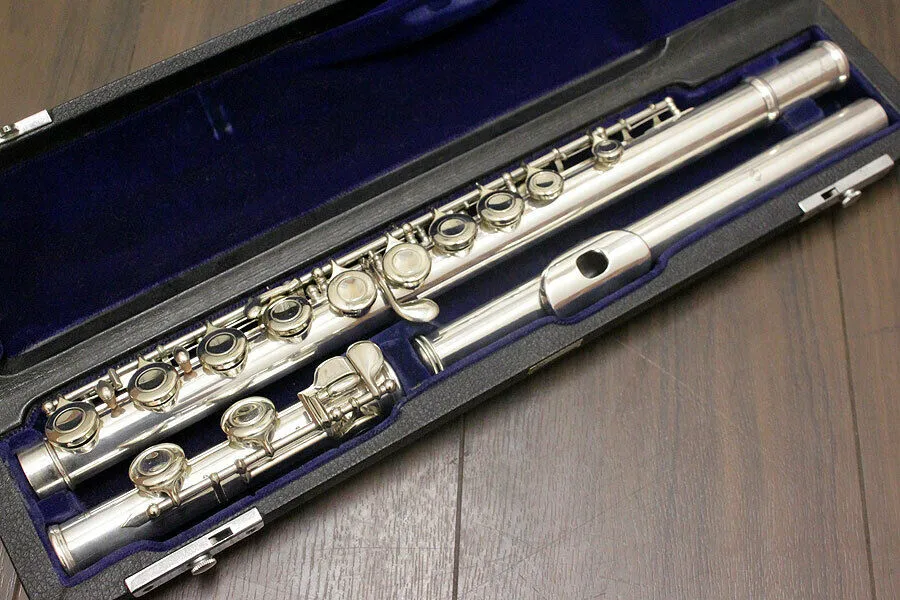 Professional C Flute - 16 Hole Closed Key, Nickel Silver Plated, High ...