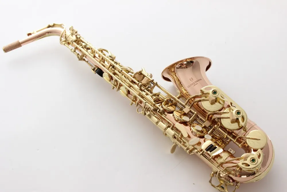 Professional Alto Saxophone Set - A-991/A-WO10 Style, Phosphor Bronze ...