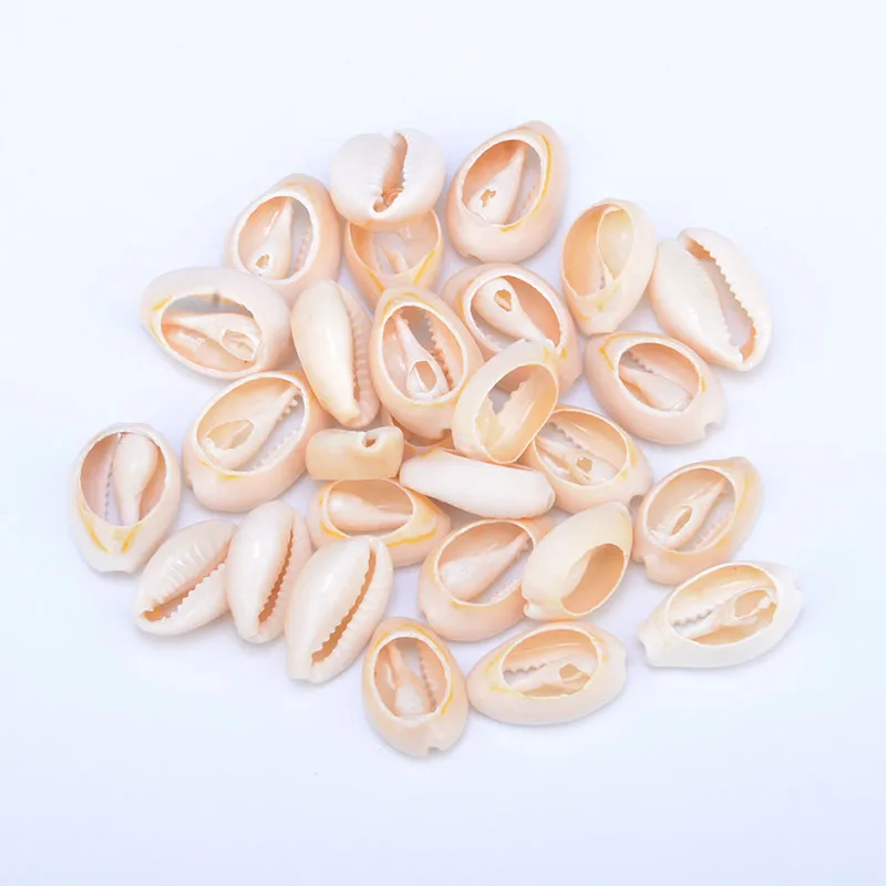 50 Natural Conch Shell Beads - Colorful, Exquisite Patterns for Jewelry ...