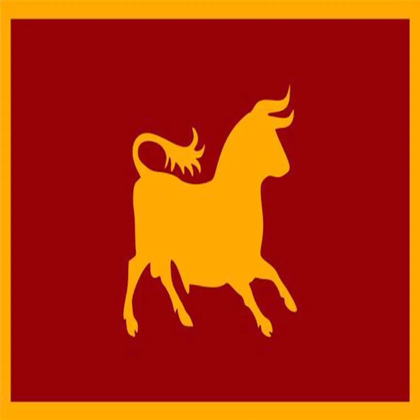 Caesars Legion Fallout New Vegas Flag 3x5FT 90x150CM Custom Flag Home ...