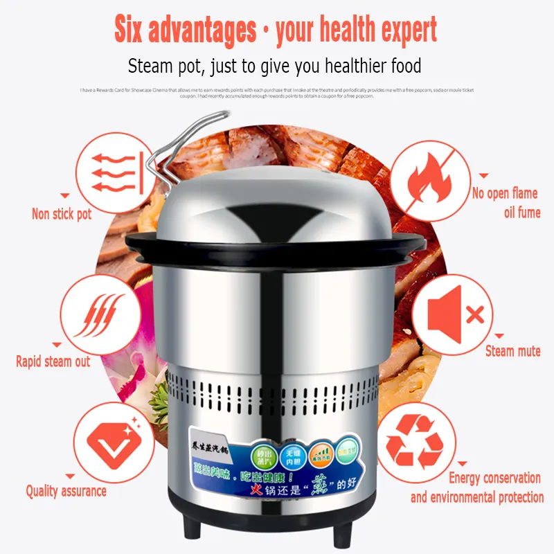 Multifunctional Electric Hot Pot and Steamer - 2800W Commercial Grade ...
