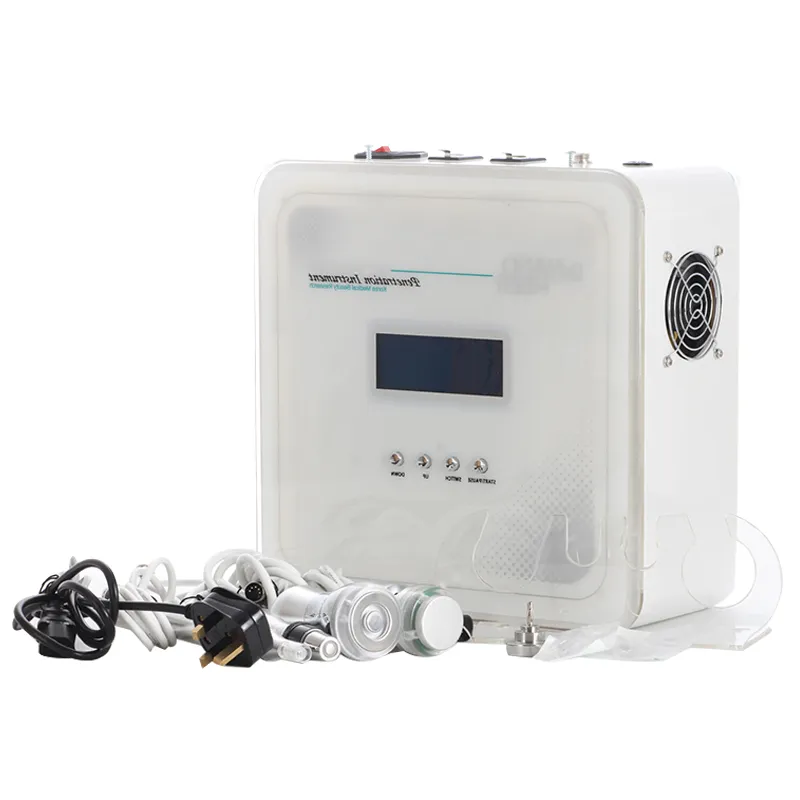 RF Electroporation Mesotherapy Machine: Facial Lifting, Skin ...