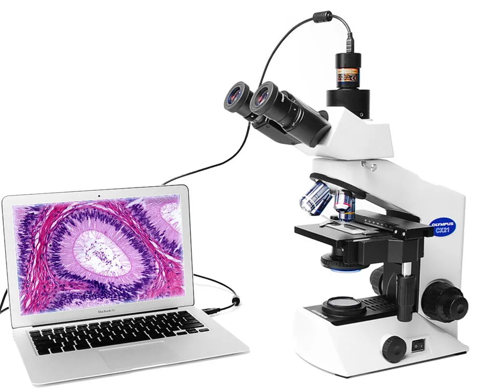 5.0MP USB 3.0 CMOS Microscope Eyepiece Camera 23.2mm Diameter Compact ...