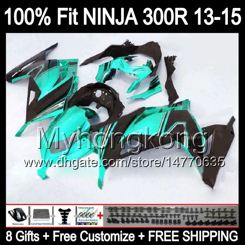 Kawasaki 300R Injection Molded Fairing Glossy Cyan Black for ZX300R ...