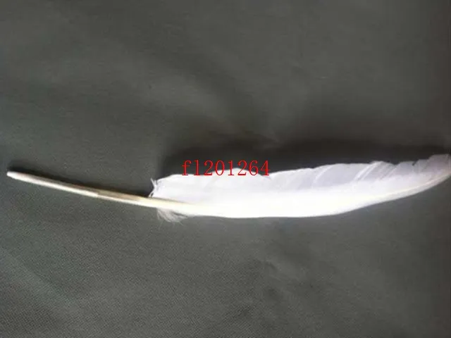 Quill Pen And Ink Goose Feather Ballpoint Pens Retro Style Decorative ...