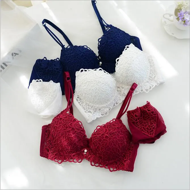 Lace Bra Sets Sexy Lingerie Bras Briefs Set Women's Push Up Bra and ...