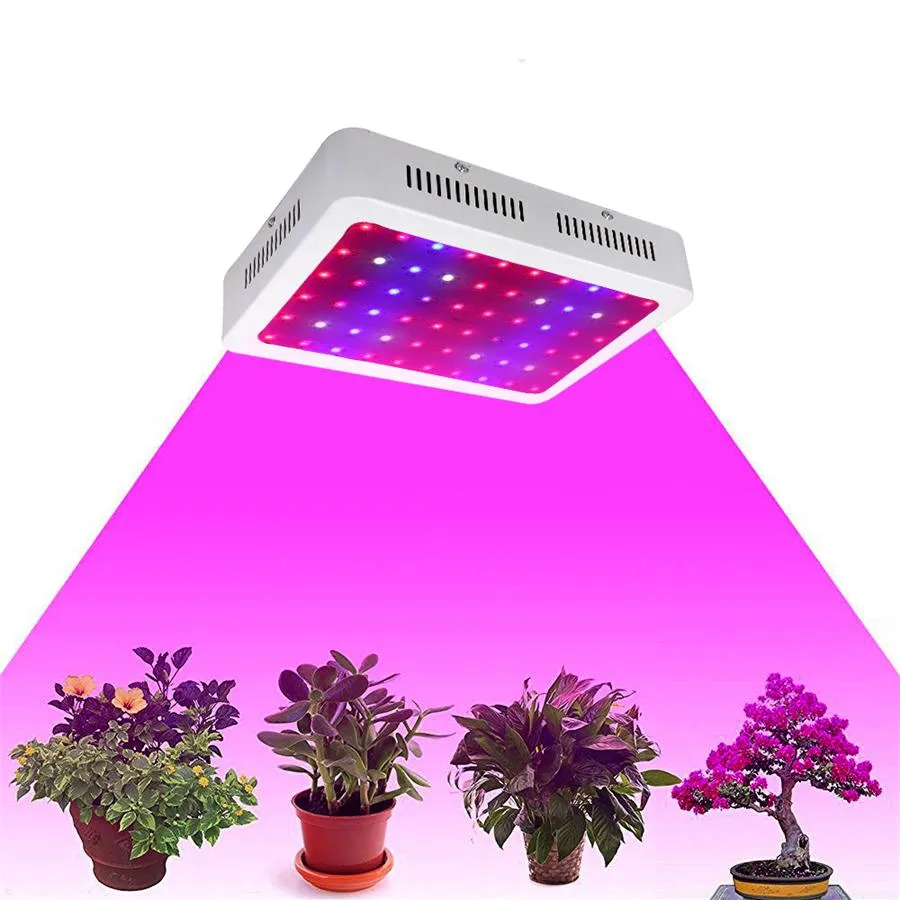 DHgate.com:High-Power LED Grow Light - 1000W Full Spectrum for ...