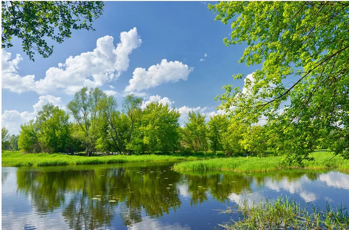 7d Nature Wallpaper