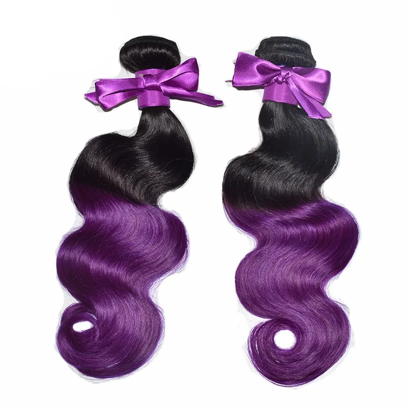 8A Malaysian Purple Ombre Human Hair Bundles With Lace Closure Two Tone ...