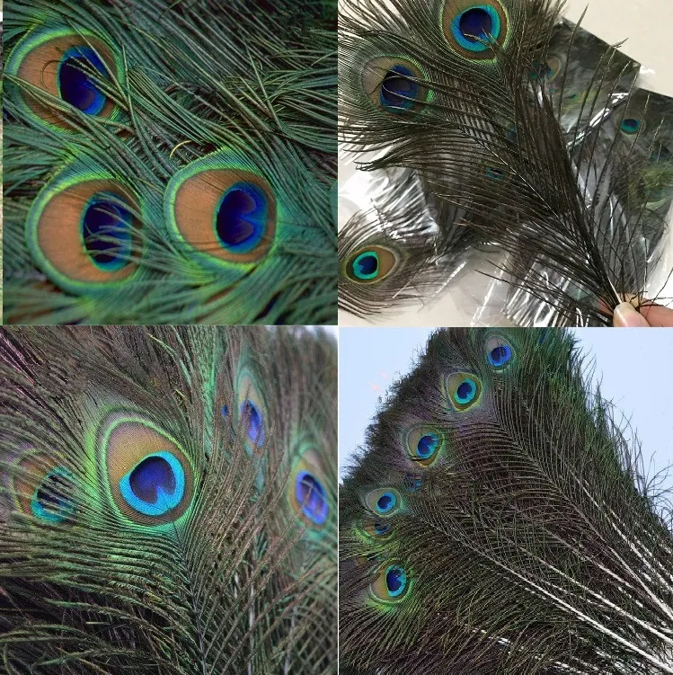 Natural Feathers For Sale: Elegant Decorative Feathers 25 30cm For ...