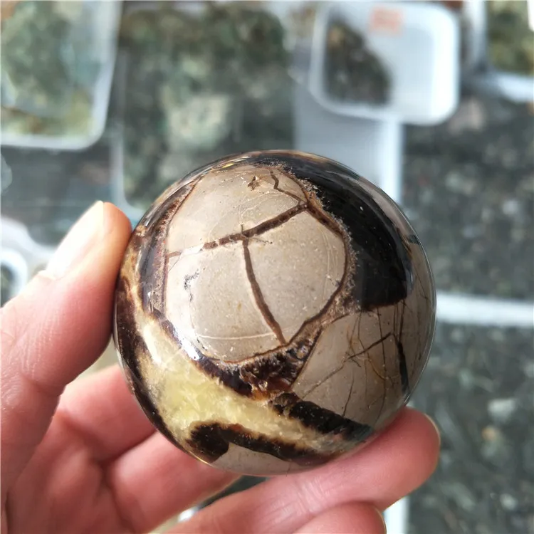 Septarian Stone Spheres Set Of Natural Dragon Stone Septarium Fossil ...