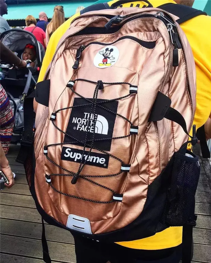 North Face Logo Skater