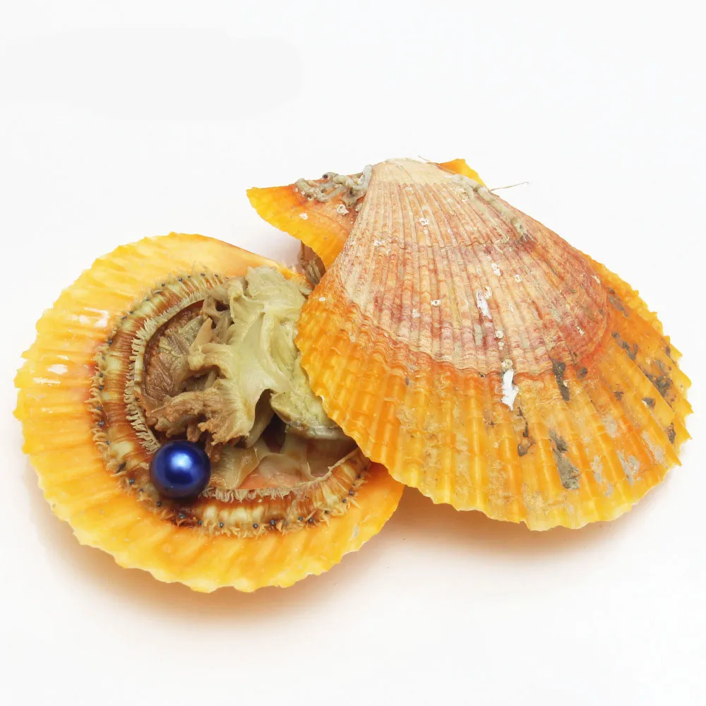 2018 DIY Seawater Red Shell Pearls In Oysters Pearls Oyster Pearls With ...