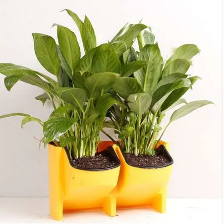 SOLEDI Plastic Planter Flower Pot Wall Hanging Garden Hanging Stackable ...