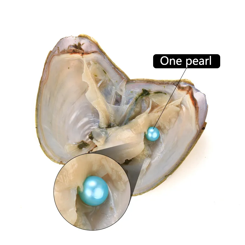 Freshwater Pearl Beads: Natural Akoya Pearl Oyster With Water Droplets ...