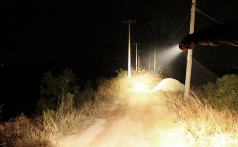 20 000 Lumen Flashlight High Intensity LED Torchlight Flashlight ...